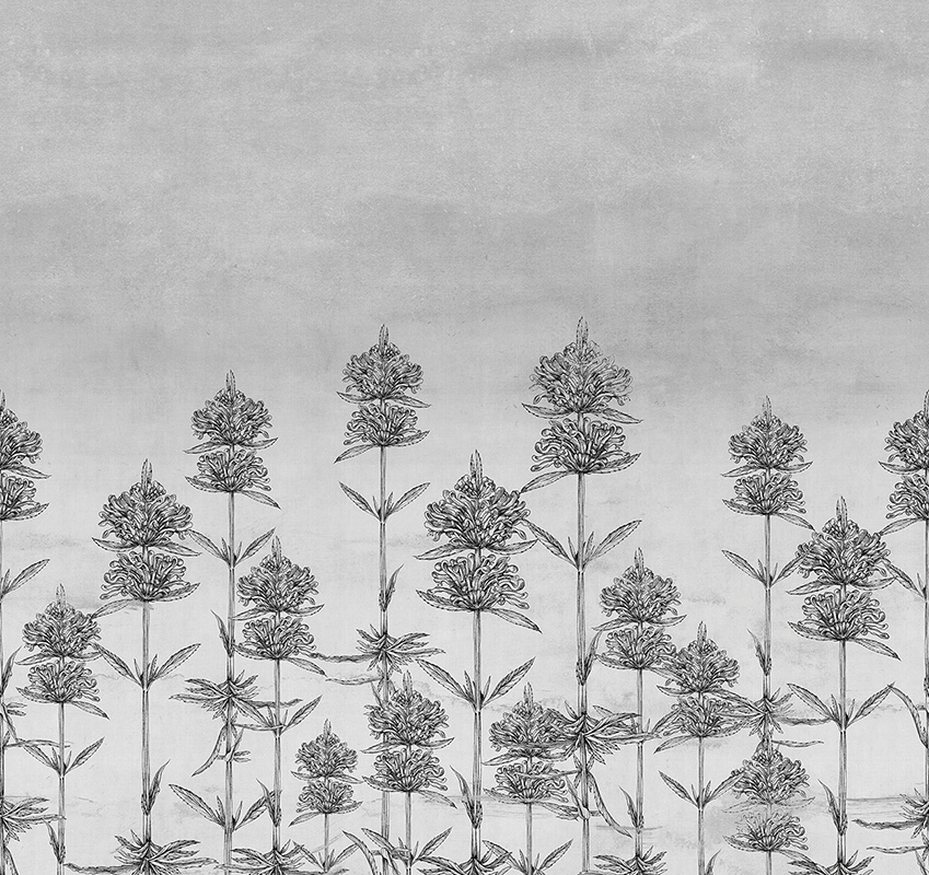 Natural euphoria | LondonArt